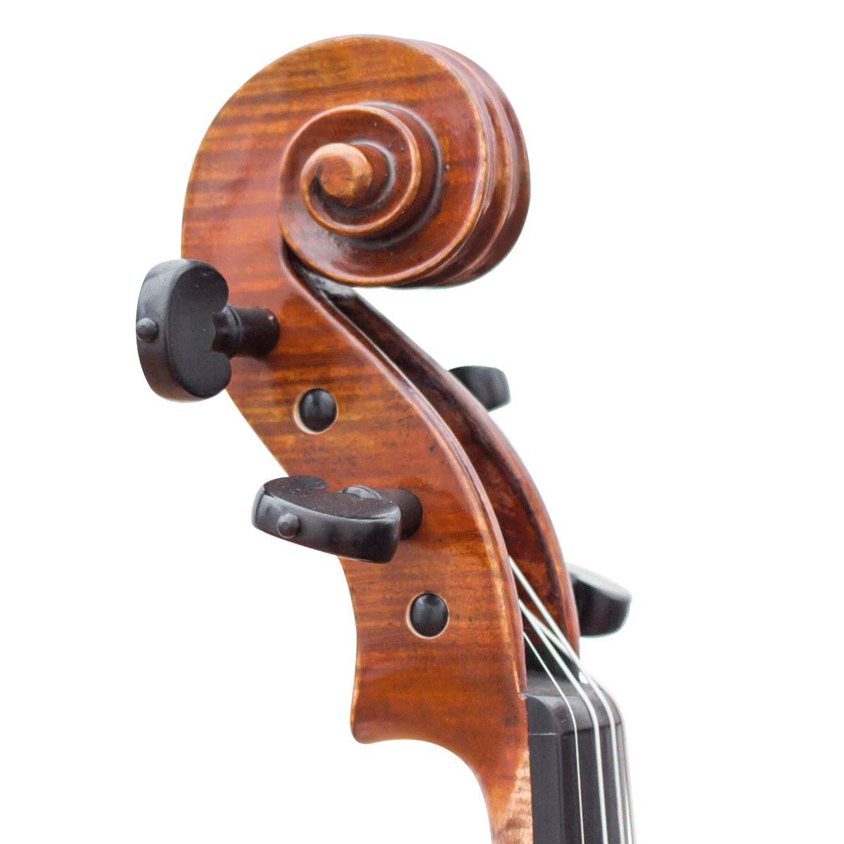 Le prix des violons - Guillaume KESSLER, luthier à Strasbourg