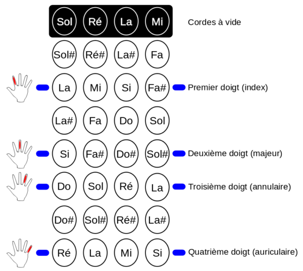 Les notes du violon - Guillaume KESSLER - Lutherie d'Art